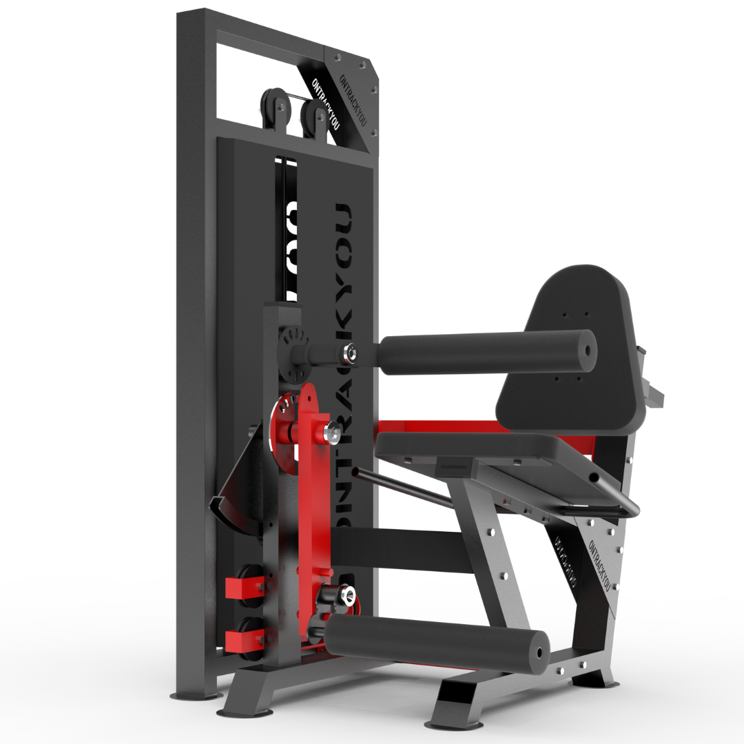 Leg Curl Leg Extension