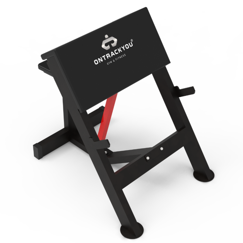 Preacher Curl Bench