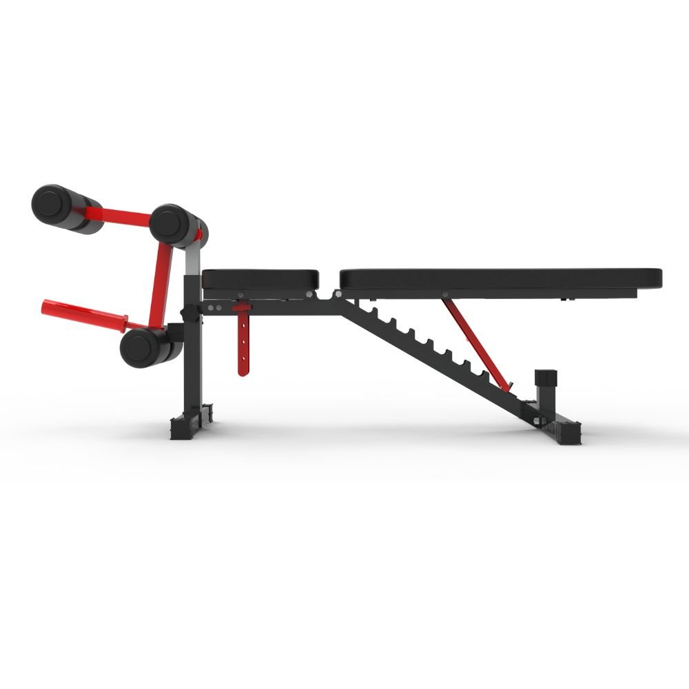 AGB Preacher Curl & Leg Extension